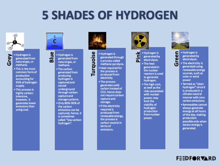 Infographics – Feedforvard